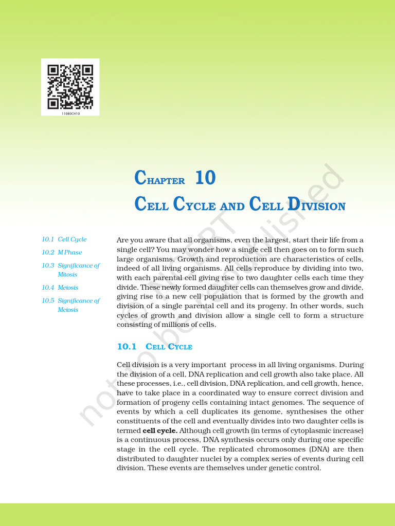 Understanding Cell Cycle and Division | PDF | Meiosis | Mitosis
