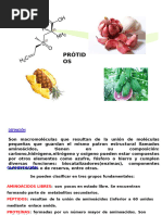 Digestotal Forte: Composición y Usos | PDF | Digestión | Bioquímica