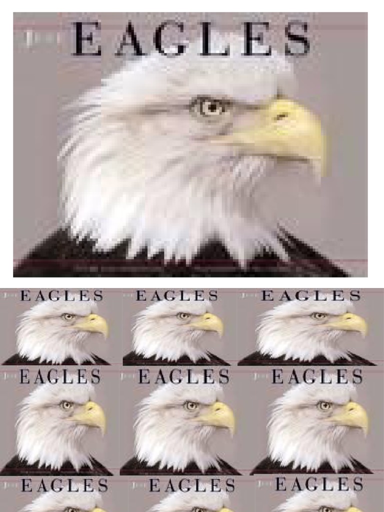 Seven Principles of the Eagle | PDF | Eagle | Birds