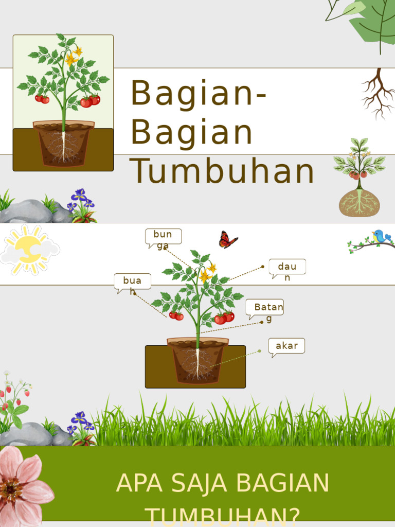 Presentasi Bagian-Bagian Tumbuhan IPAS Kelas 4 | PDF
