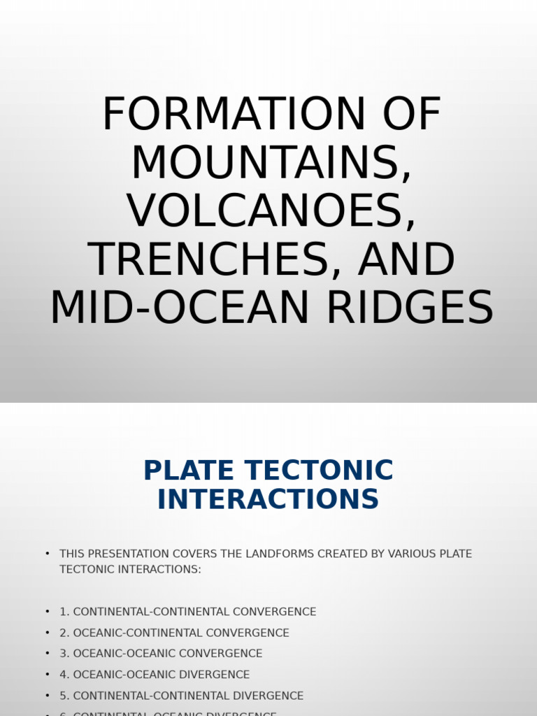 Report Ni Lara | PDF
