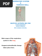 Thorax Anatomy Diagrams Overview | PDF