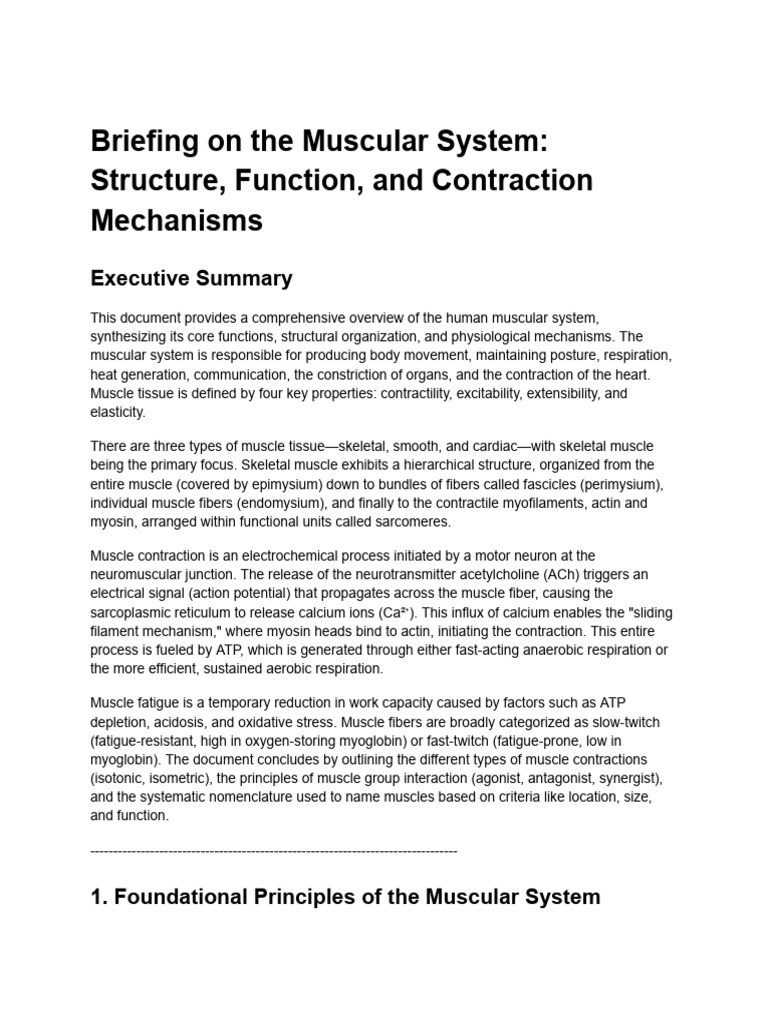 Muscular Nervous System Reviewer | PDF | Muscle Contraction | Skeletal ...