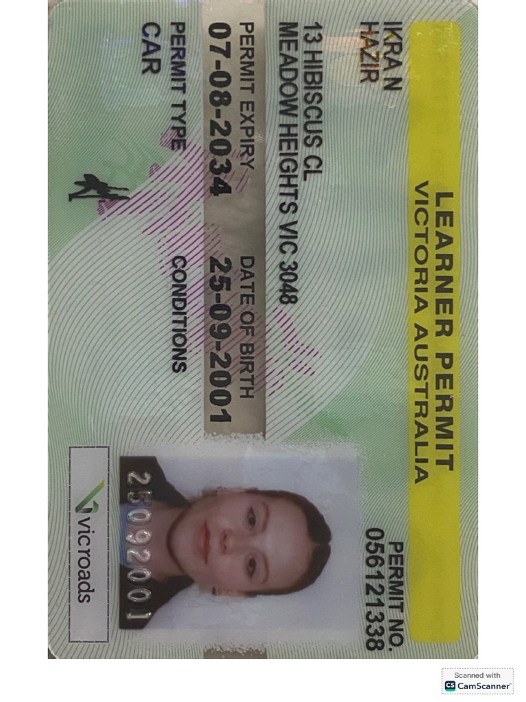 Driver Licenses | PDF