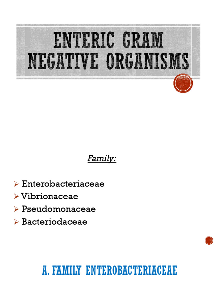 Enterobacteriaceae Family Overview | PDF | Glucose | Salmonella