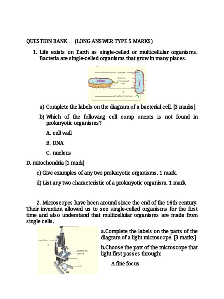 Long Answer Type | PDF