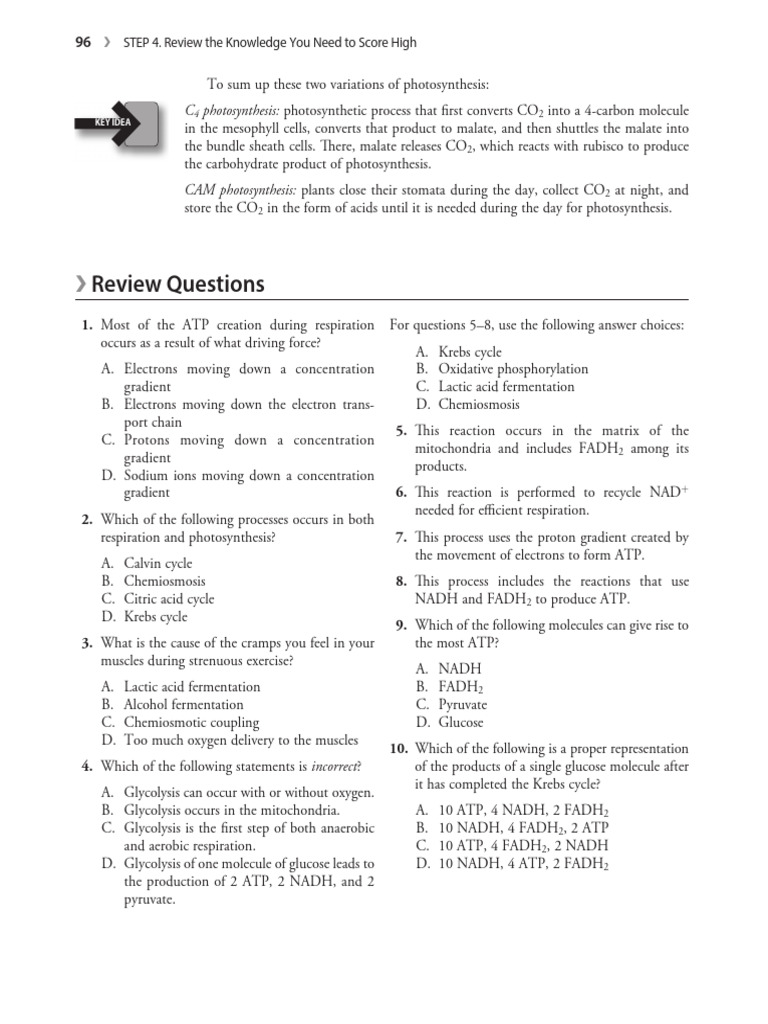 5 Steps To A 5 AP Biology 2024 | PDF | Cellular Respiration ...