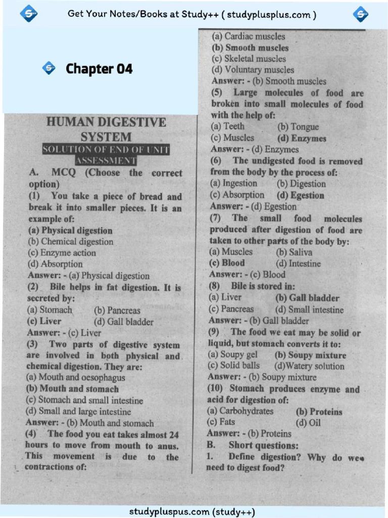 6 Science 4 | PDF