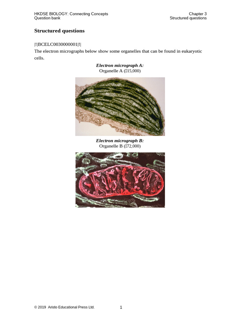 BIO_Ch03_LQ_e | PDF | Endoplasmic Reticulum | Cell (Biology)