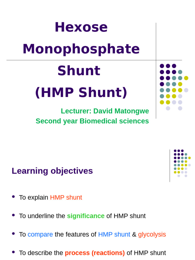 Understanding the HMP Shunt Pathway | PDF | Glycolysis | Metabolism