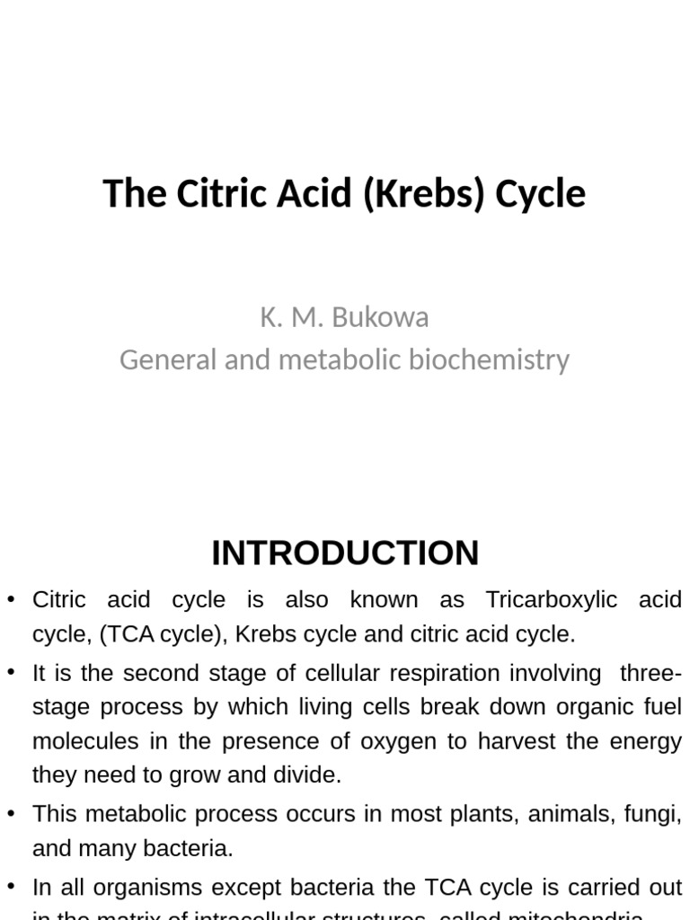 Understanding the Citric Acid Cycle | PDF | Citric Acid Cycle | Chemistry