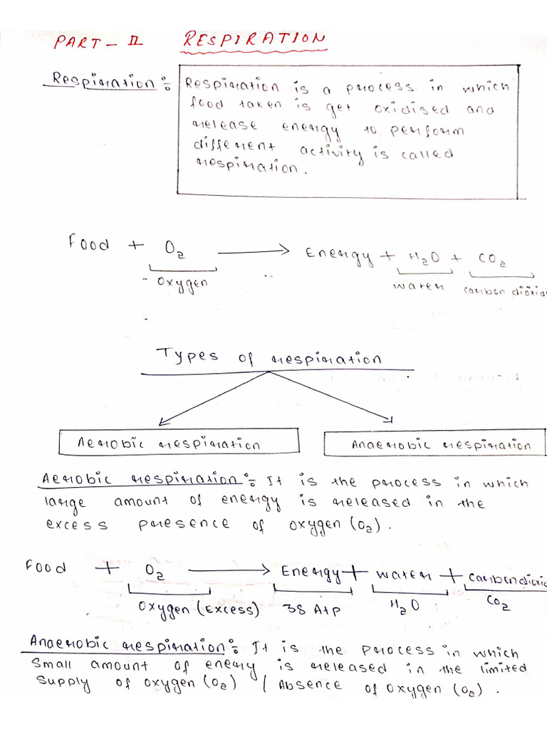 Life Processes (Respiration) | PDF