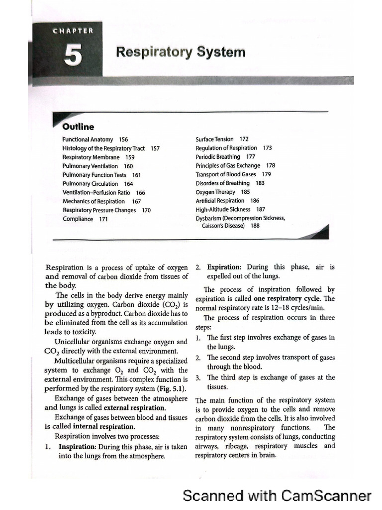 Respiratory System | PDF