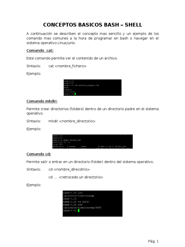 Conceptos Basicos Bash | PDF | Archivo de computadora | Interfaz de línea de comando