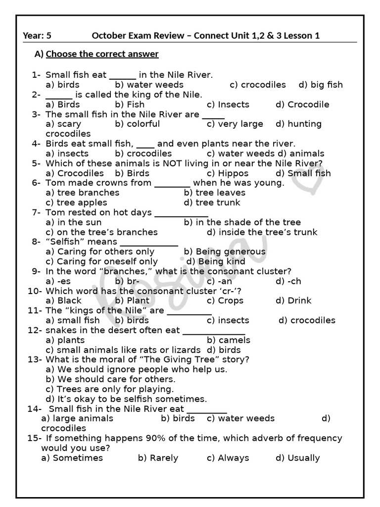 October Exam Revision Connect 5 | PDF