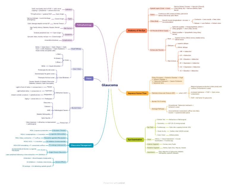 Glaucoma Concept Map | PDF | Glaucoma | Visual System