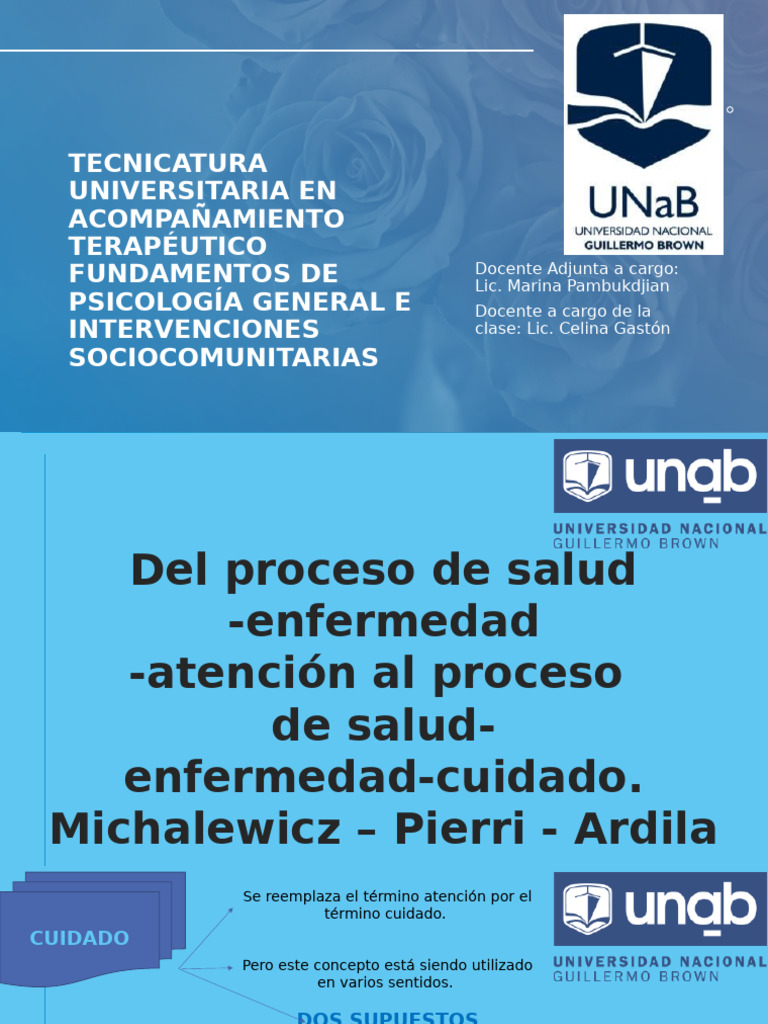 Clase 11 michalewicz ardila pierri | PDF