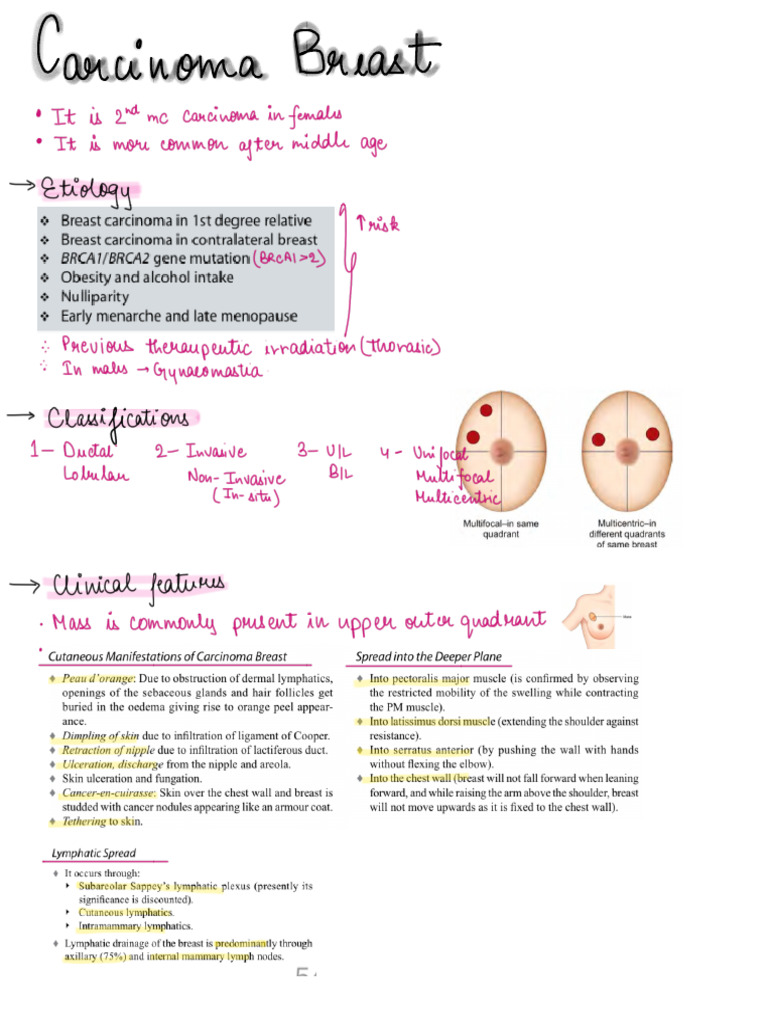 SRB Surgery 5E-2 | PDF