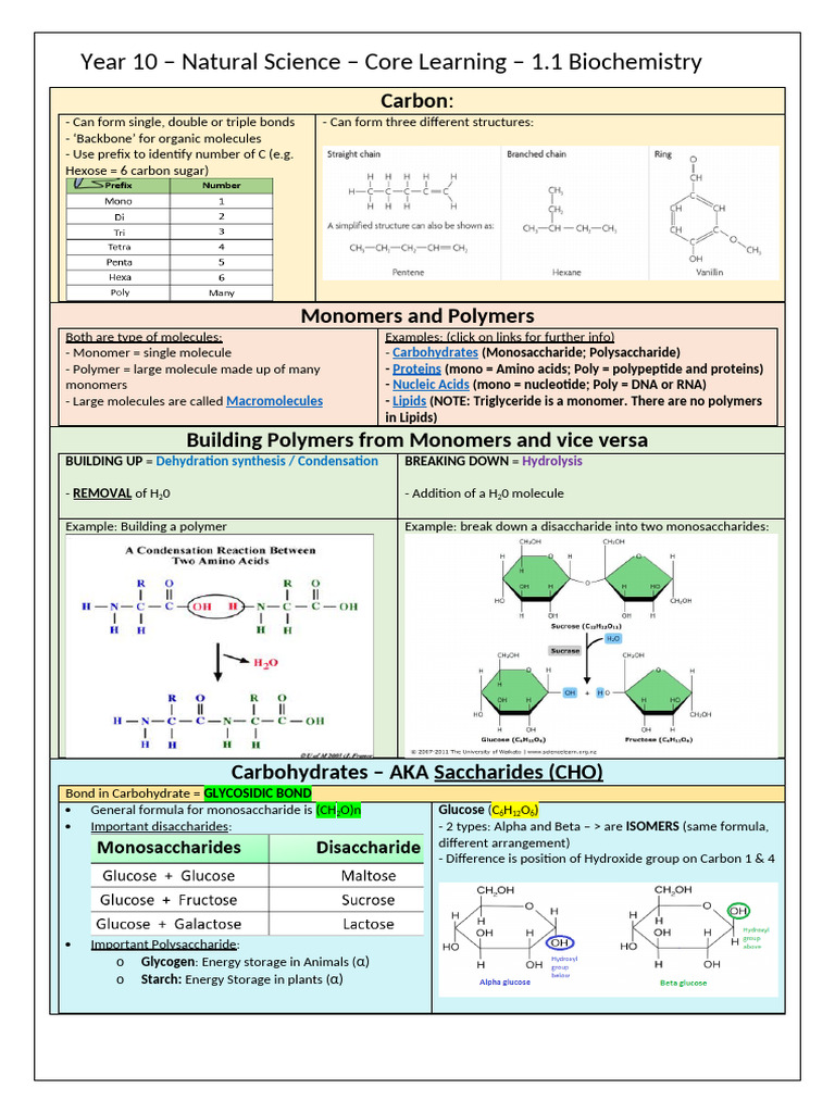 Biochemistry: Building Blocks of Life | PDF | Carbohydrates ...
