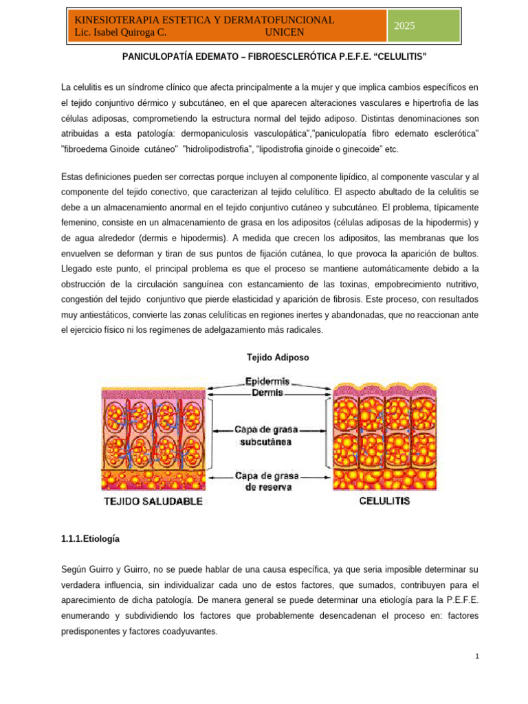 PEFE | PDF | Tejido adiposo | Especialidades Medicas