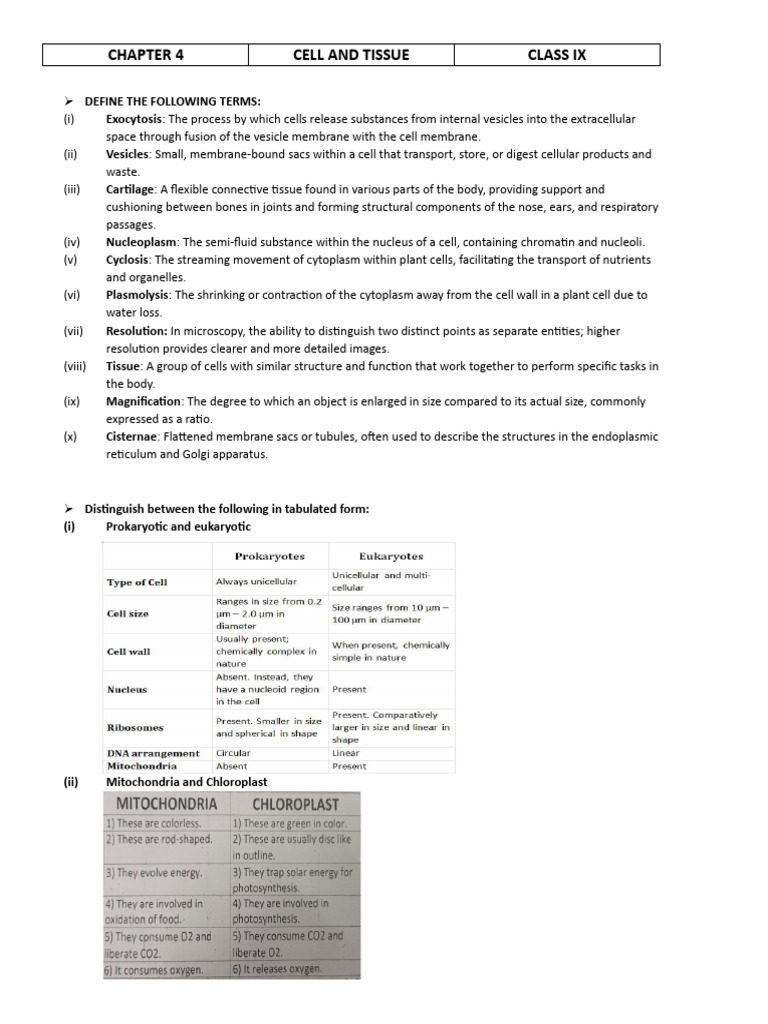 Cell and Tissue Concepts for Class IX | PDF | Cell Nucleus | Microscope