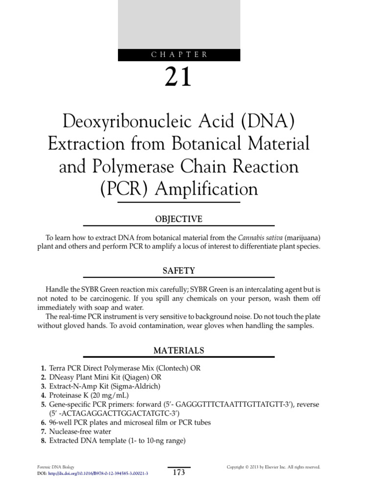 DNA Extraction and PCR for Cannabis | PDF | Polymerase Chain Reaction ...