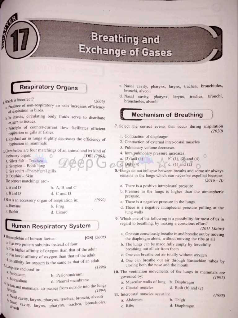 Respiration Questions For Practice | PDF | Breathing | Lung