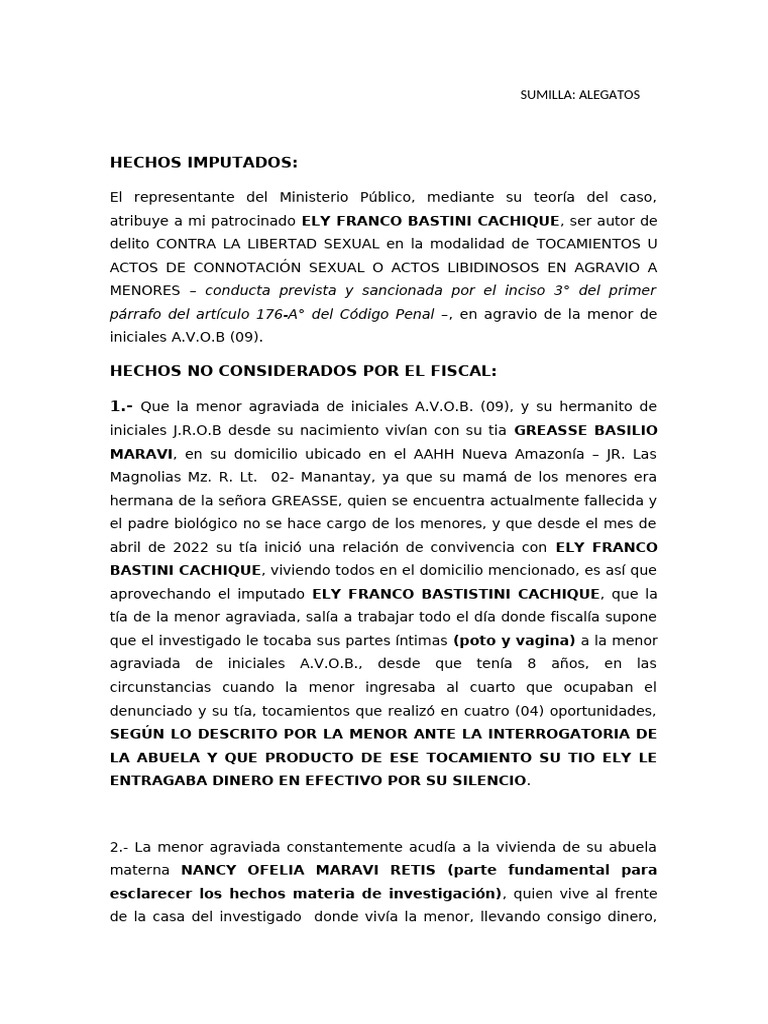 Alegatos Caso Ely | PDF | Justicia | Crimen y violencia