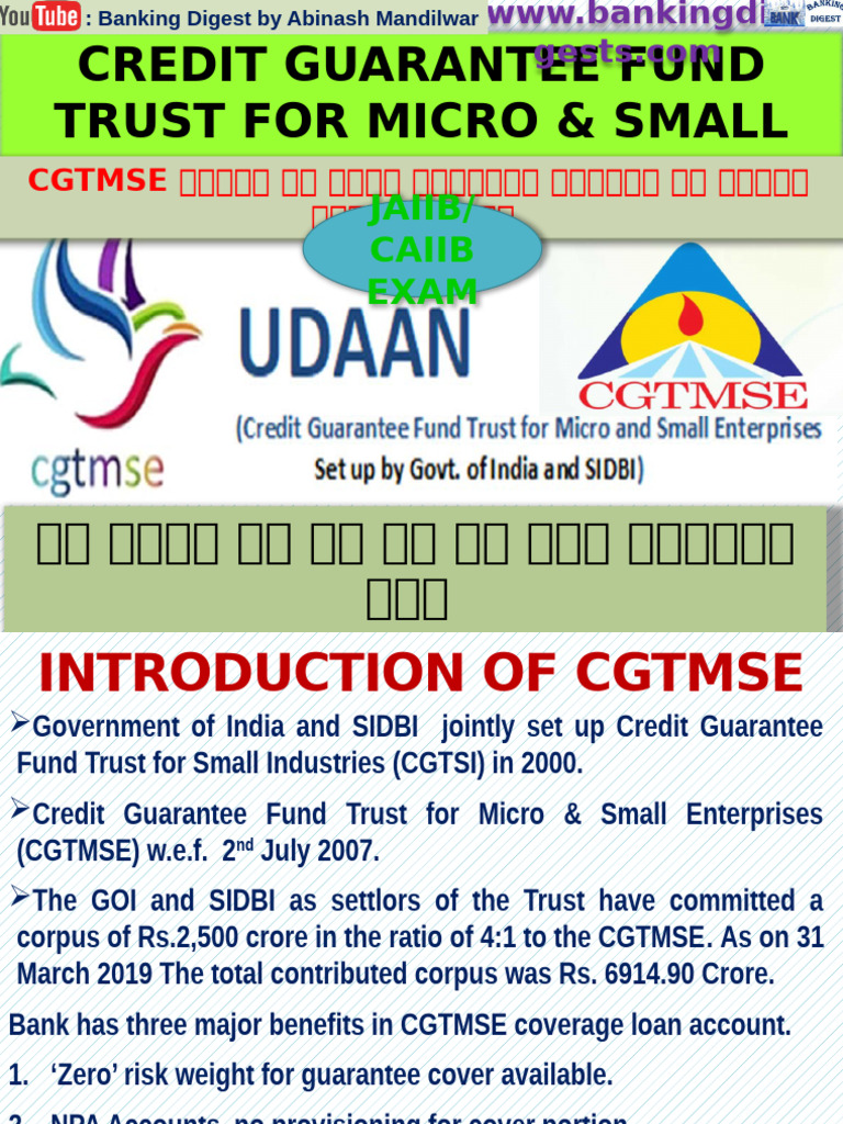 CGTMSE Scheme Overview for MSE Loans | PDF | Line Of Credit | Credit