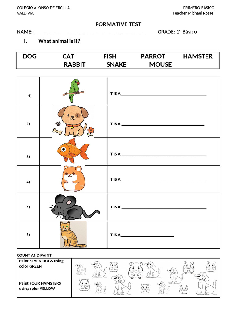 First Grade Animal Formative Test | PDF