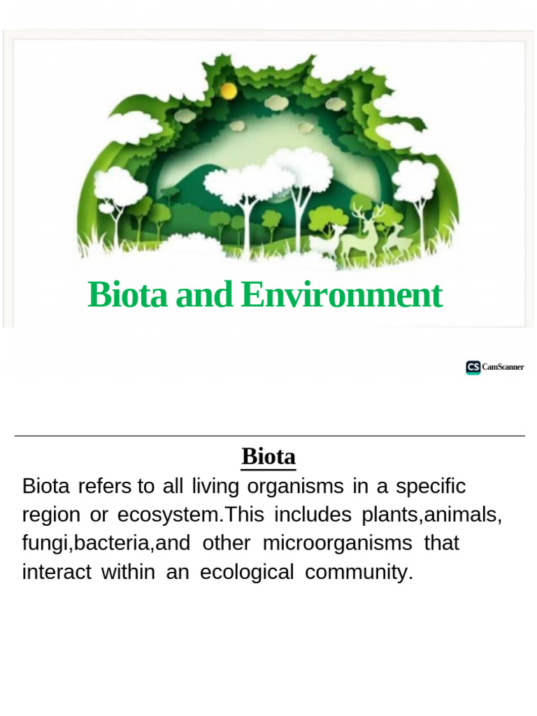 Biota & Environment | PDF | Motor Neuron | Spinal Cord