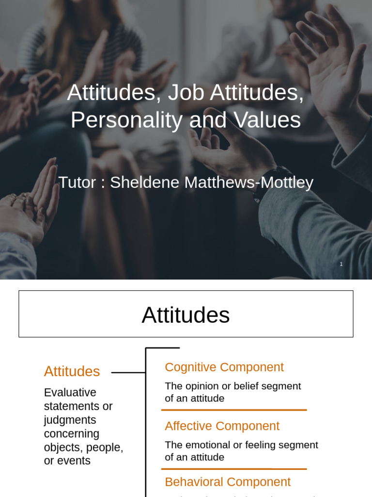 Understanding Attitudes and Job Satisfaction | PDF | Attitude ...
