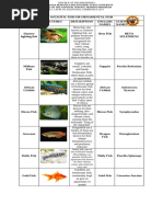 Pakol Fish: Characteristics and Habitat | PDF
