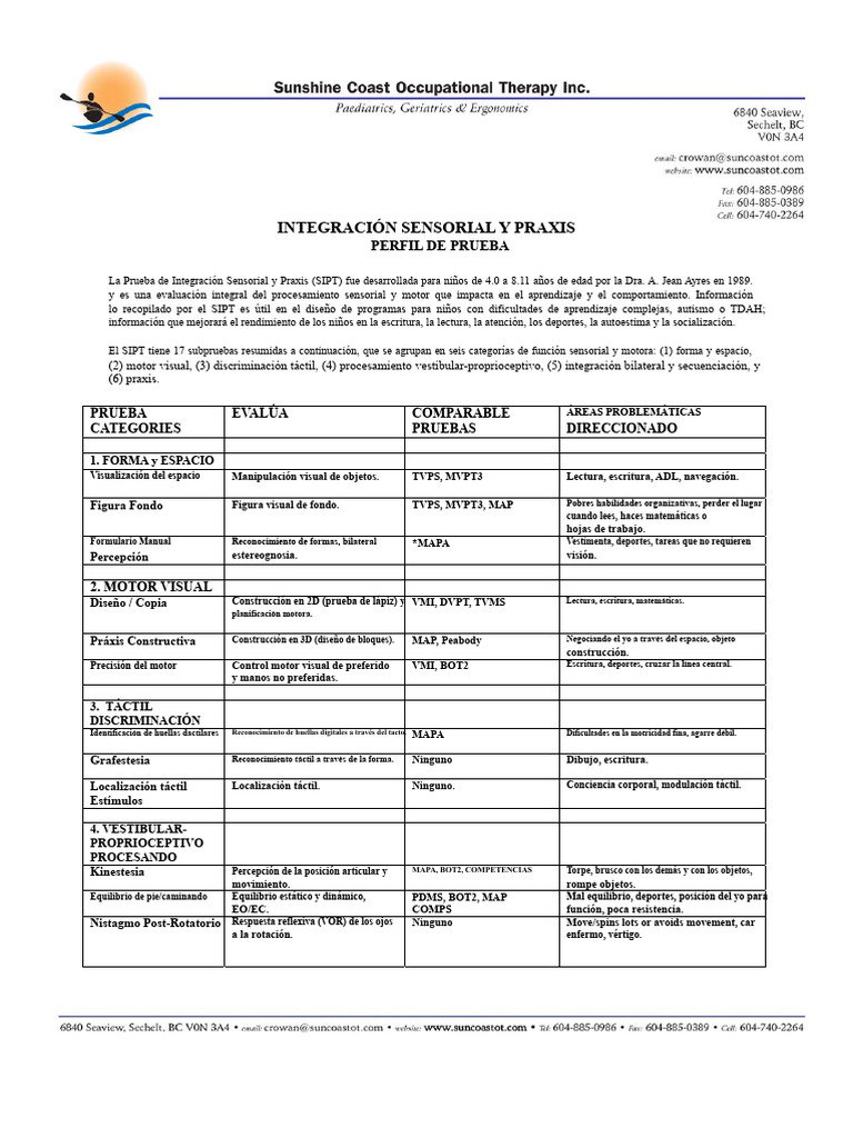 Sipt Cota | PDF | Conceptos psicologicos | Cognición