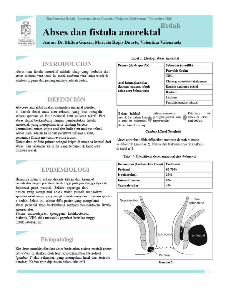 Abses Dan Fistula Anorektal | PDF