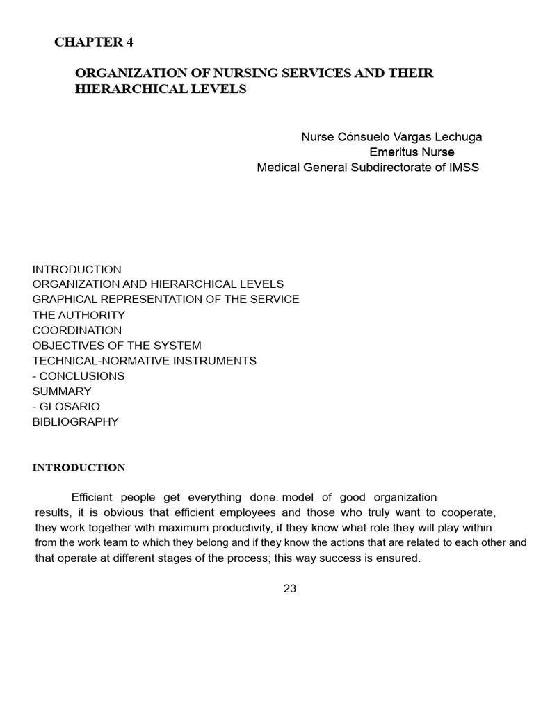 Organization of Nursing Services | PDF | Nursing | Hierarchy