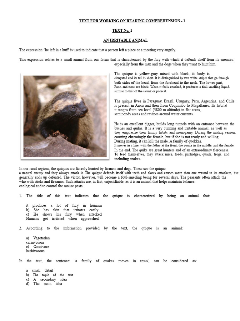 Text For Working On Reading Comprehension - 1 | PDF | Mouse | Zoology
