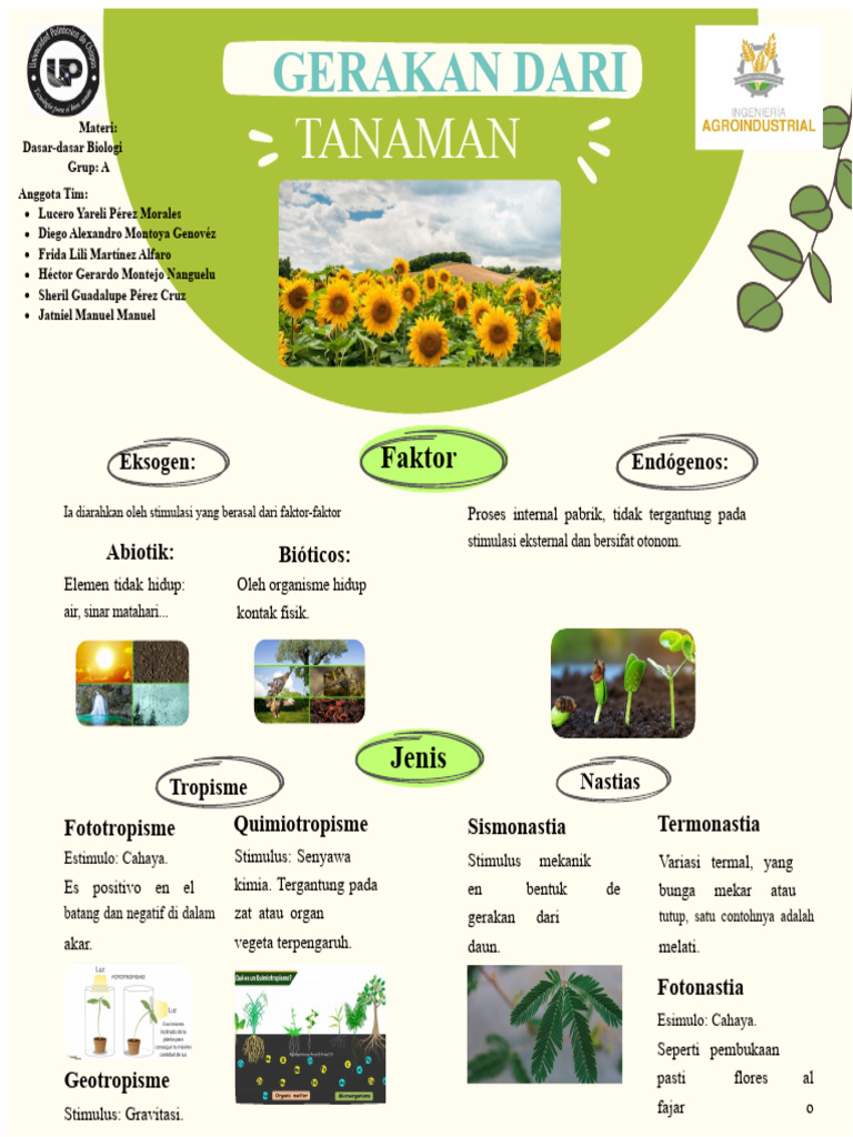 Infografis Jenis Gerakan Tanaman | PDF