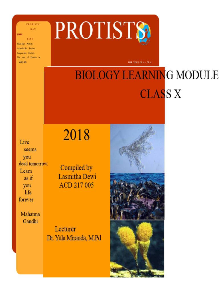 Protista Module Class X High School | PDF | Protozoa | Fungus