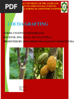 Guide to Planting Narra Trees | PDF | Trees | Pruning
