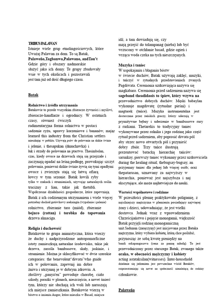 Palawan Tribe G4 | PDF