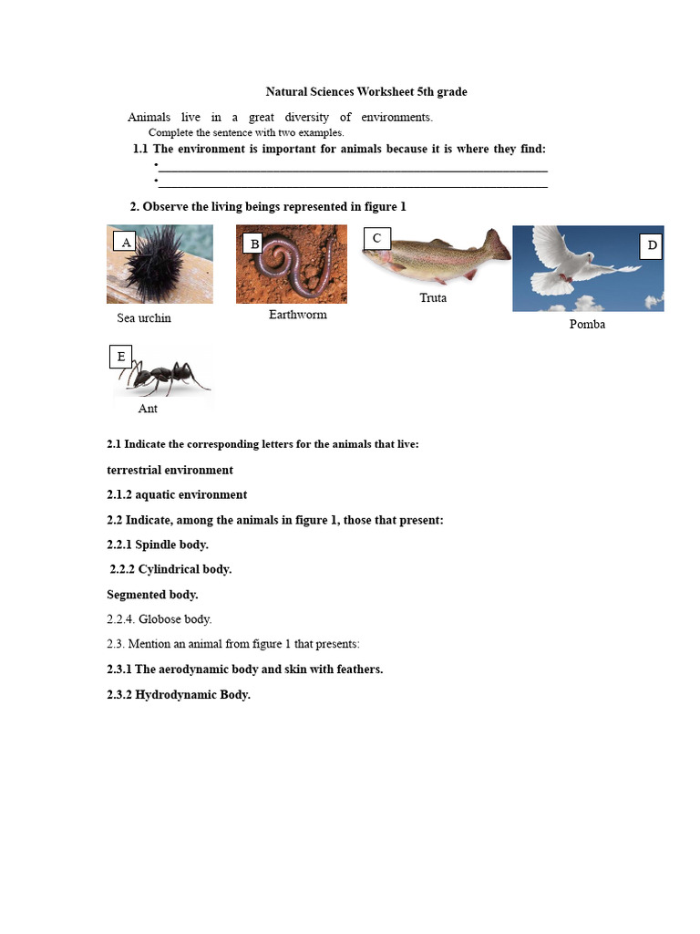 Natural Sciences Worksheet 5th Grade | PDF | Organisms | Biology