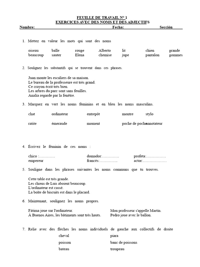 Exercices sur Noms et Adjectifs | PDF | Linguistique