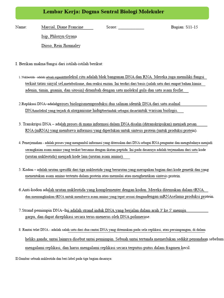 Dogma Sentral Biologi Molekuler | PDF