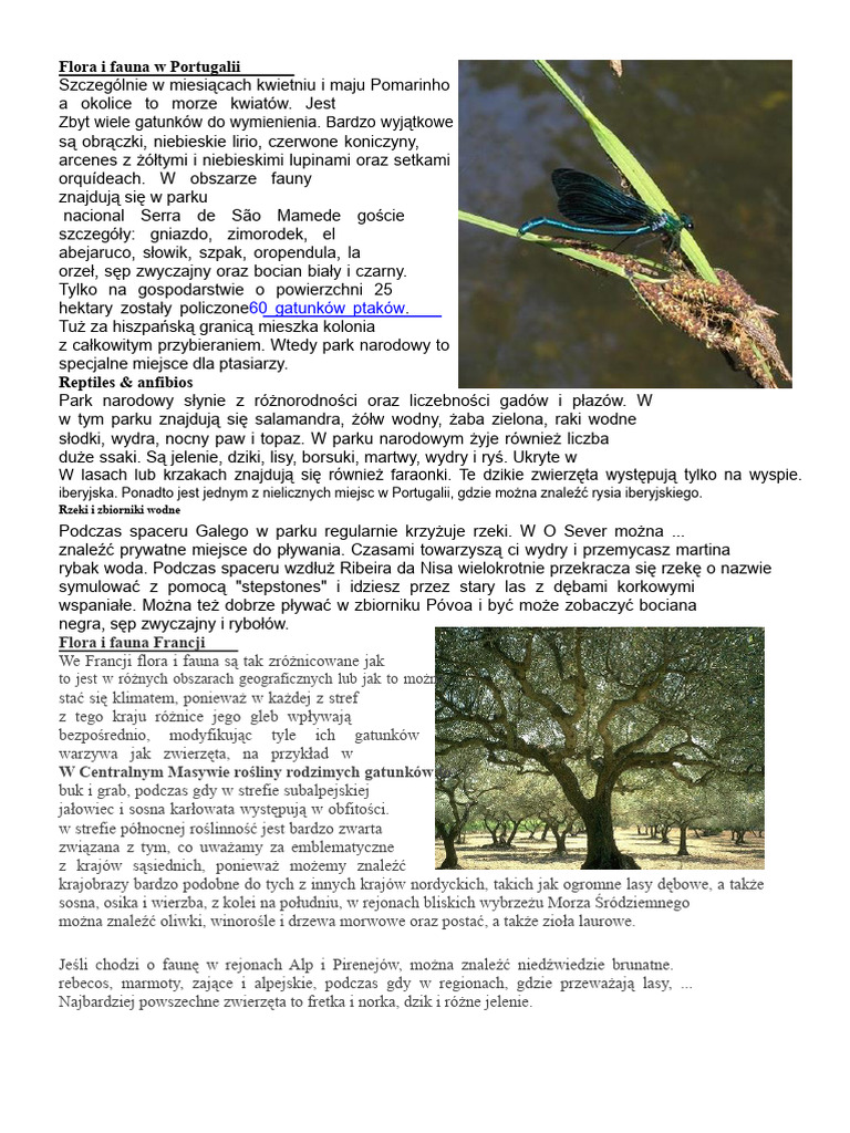 Flora i fauna w Portugalii | PDF