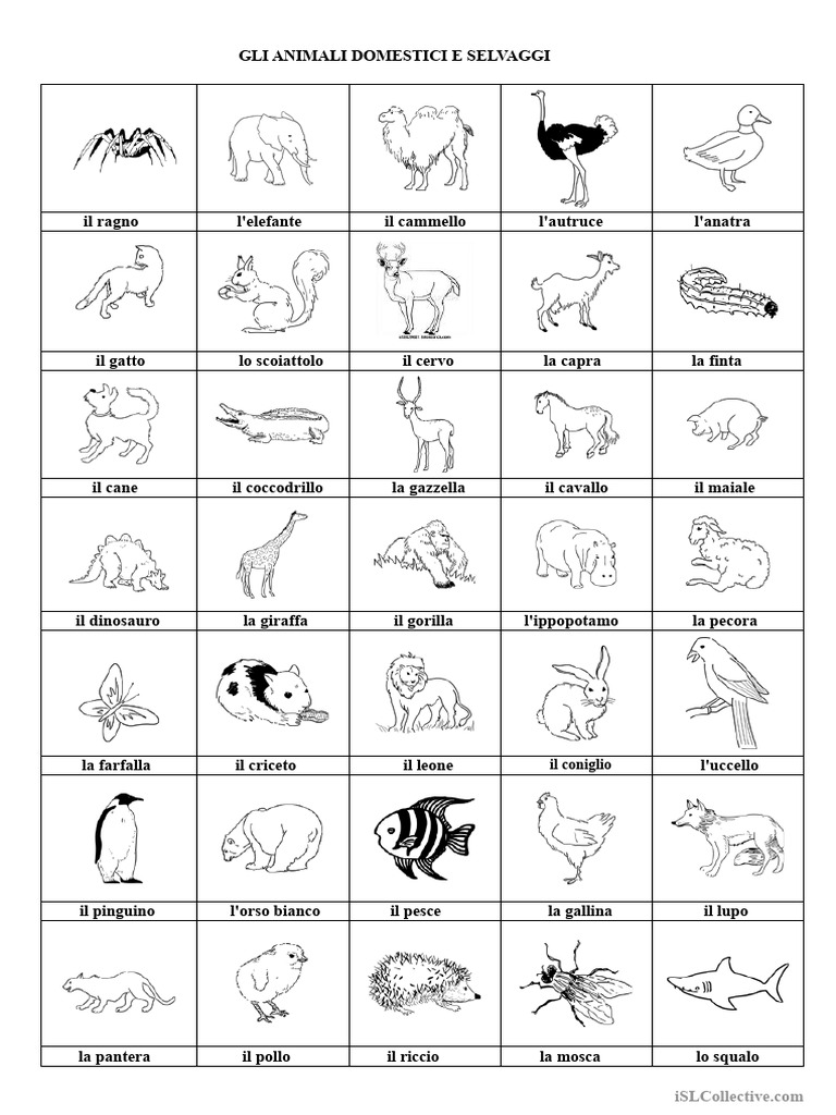 Gli Animali Selvatici e Domestici | PDF