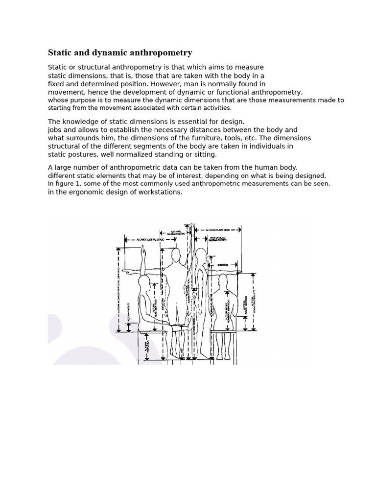 Static and Dynamic Anthropometry | PDF | Anthropometry | Biomechanics