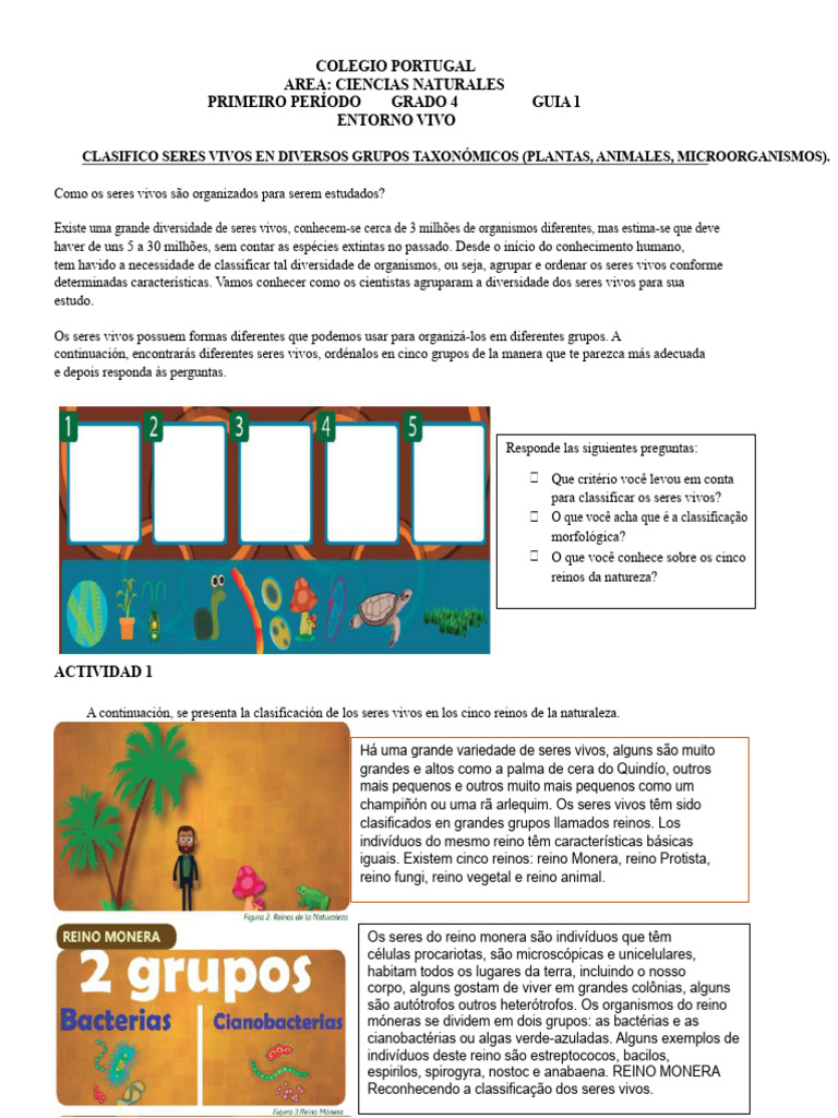 Classificação dos Seres Vivos em Reinos | PDF | Mistura | Plantas