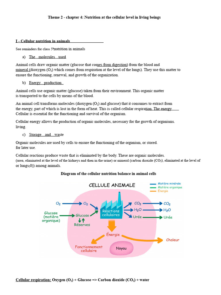 Cellular Nutrition Course | PDF | Nutrition | Diet & Nutrition