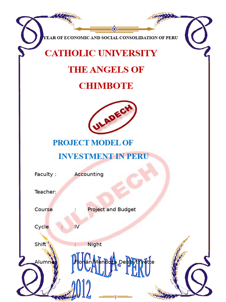 Investment Project Model in Peru | PDF | Demand | Internal Rate Of Return